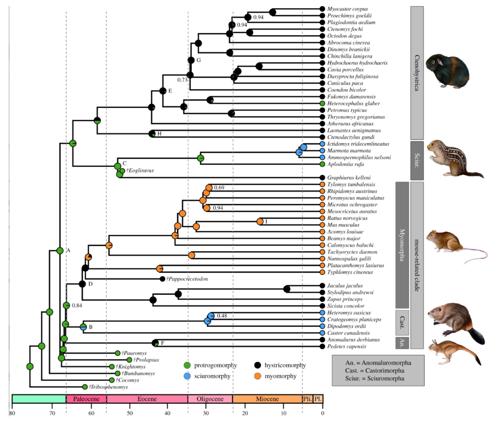 Solved Please help me to solve for the questions below! | Chegg.com
