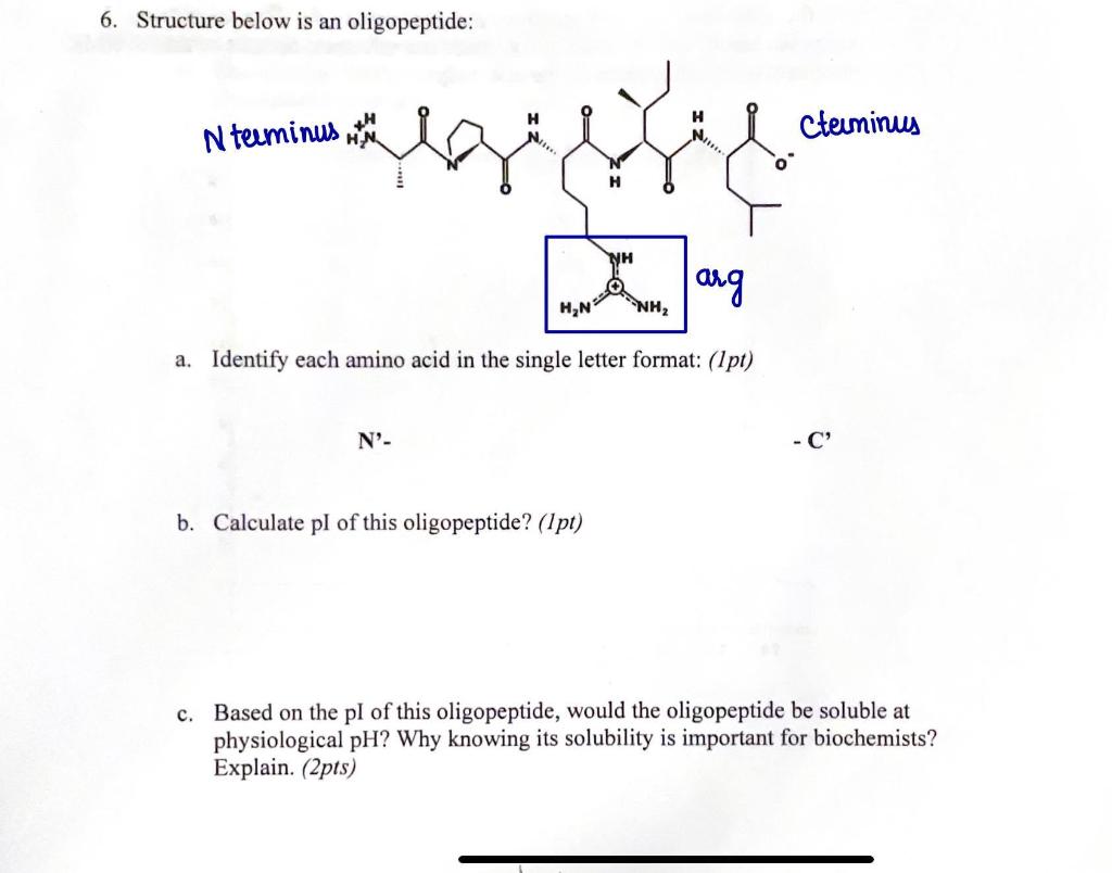 Solved 6. Structure below is an oligopeptide: a. Identify | Chegg.com