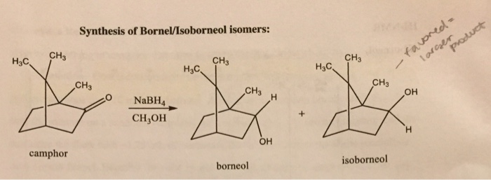 Solved What is the complete mehanism for this reaction? ( | Chegg.com