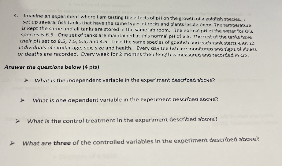 Solved 4. Imagine an experiment where I am testing the | Chegg.com