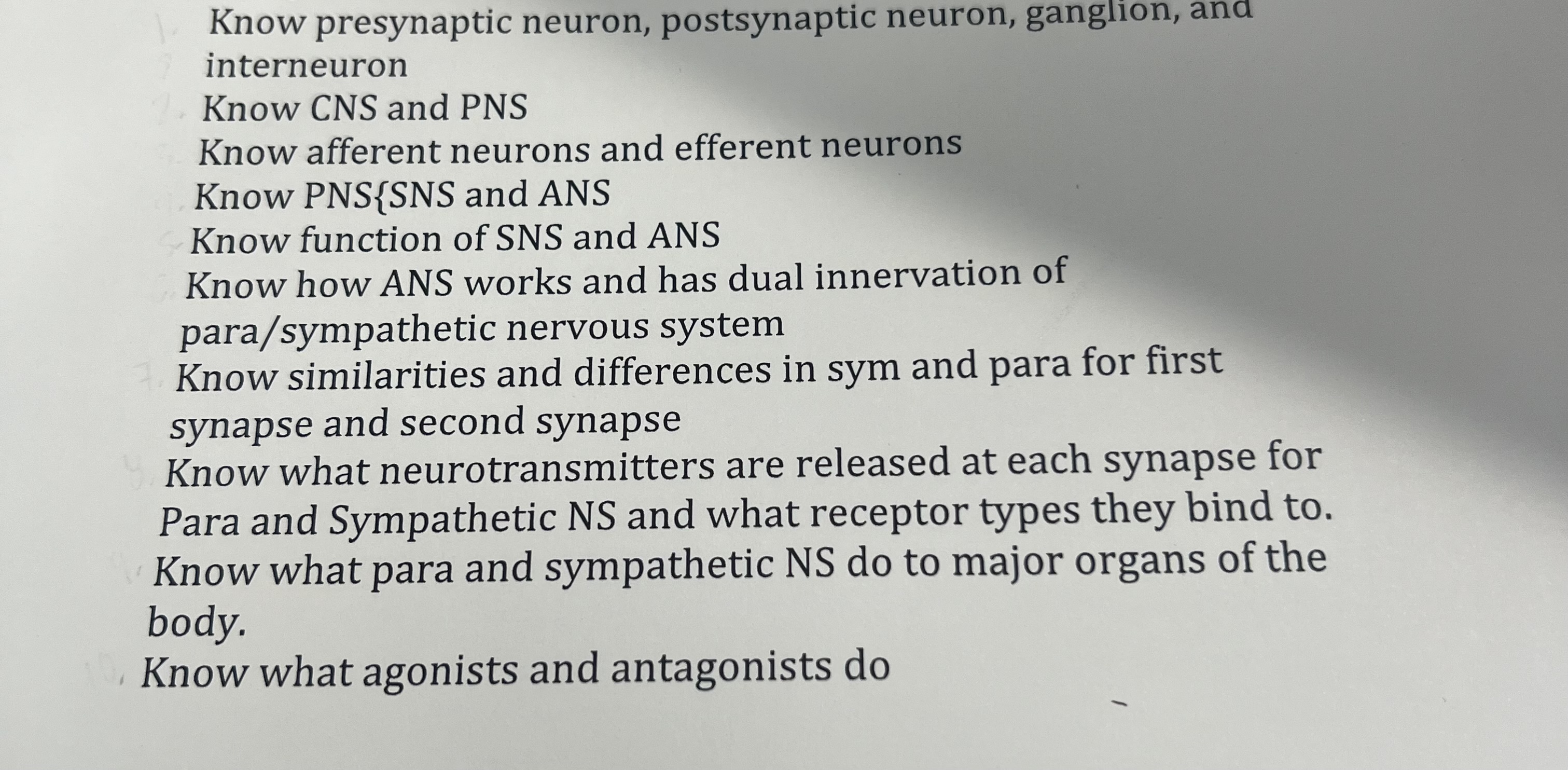 Solved Know presynaptic neuron, postsynaptic neuron, | Chegg.com
