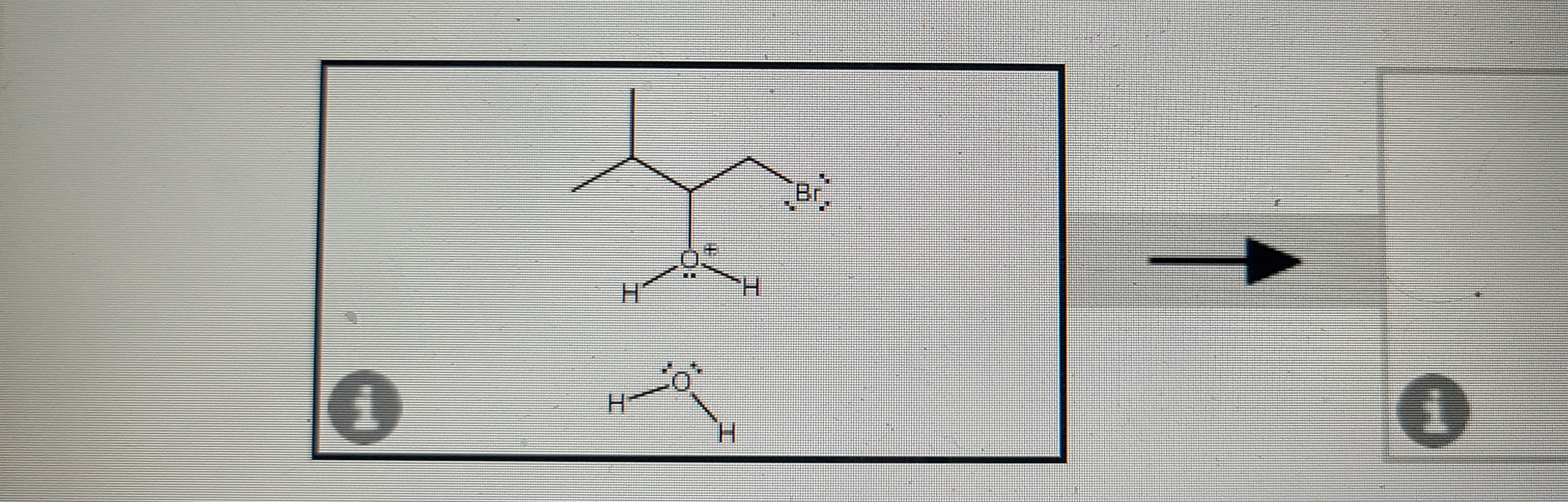 Solved The alkene 3-methyl-1-butene is reacted with Br2 in | Chegg.com