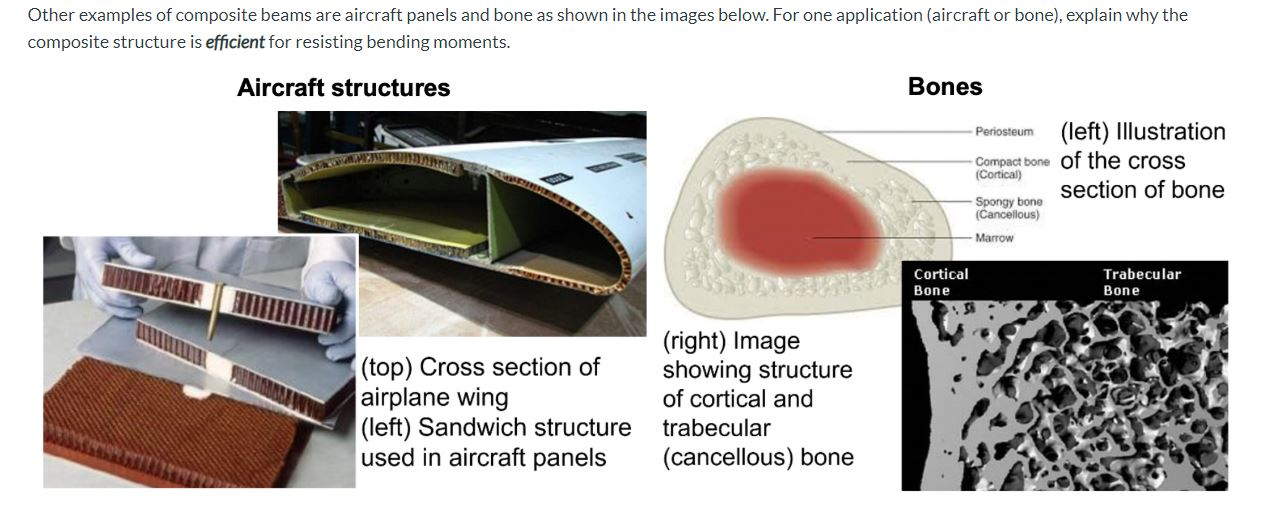 Solved: Other Examples Of Composite Beams Are Aircraft Pan... | Chegg.com