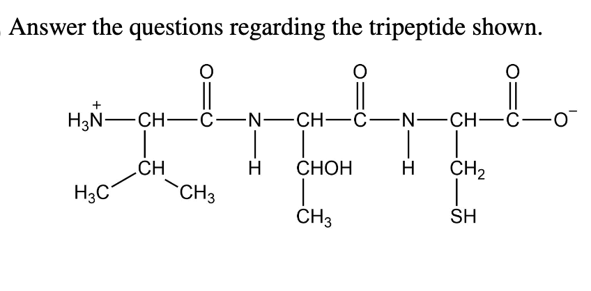 Solved A. What is the name of this tripeptide, using the 3 | Chegg.com