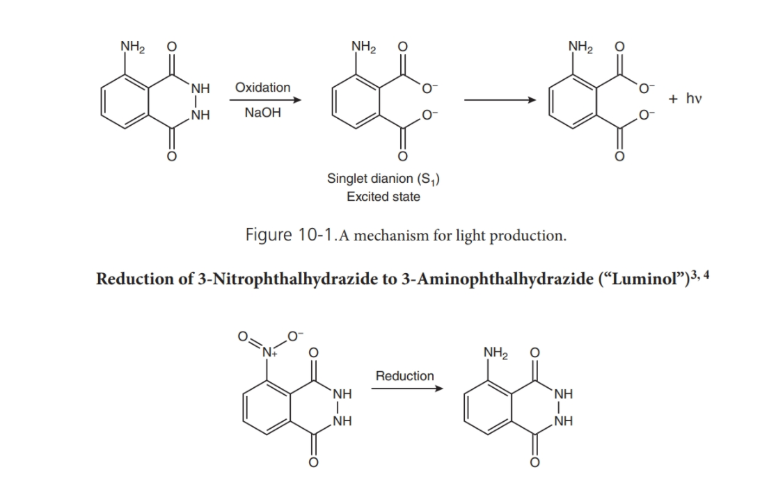 Solved NH2 NH2 NH2 NH Oxidation + hv NH NaOH Singlet dianion | Chegg.com