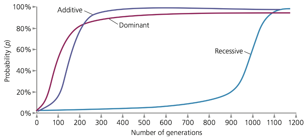 Solved Number of generations | Chegg.com