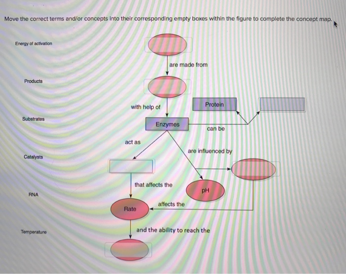 Solved Move the correct terms and/or concepts into their | Chegg.com