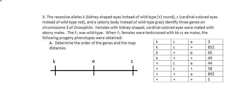 Solved B. Using genetics notation for linked genes and | Chegg.com