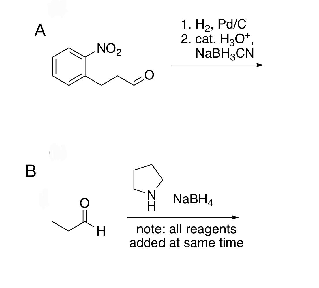 Solved A 1. H2, Pd/C 2. cat. H307, NaBH3CN NO2 B N NaBH4 H | Chegg.com