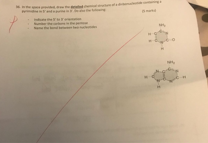 Solved 36. In the space provided, draw the detailed chemical | Chegg.com