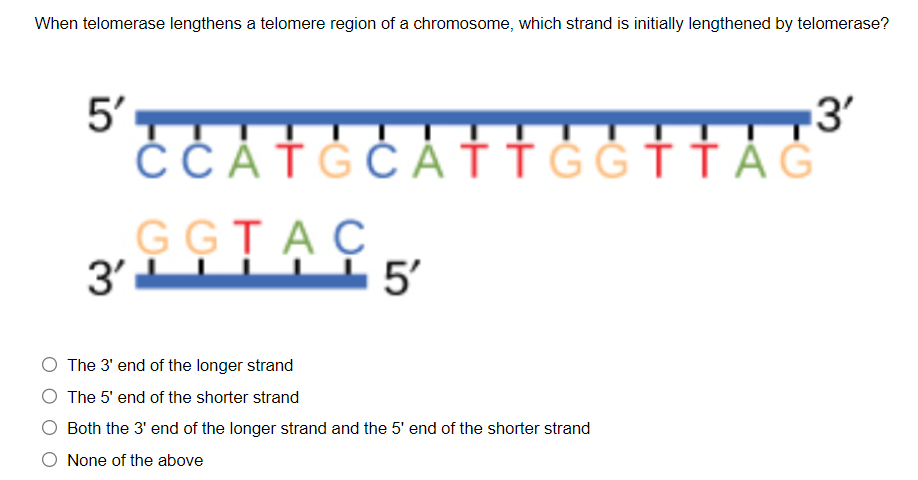 Solved Which strands pictured below are the Leading Strands? | Chegg.com