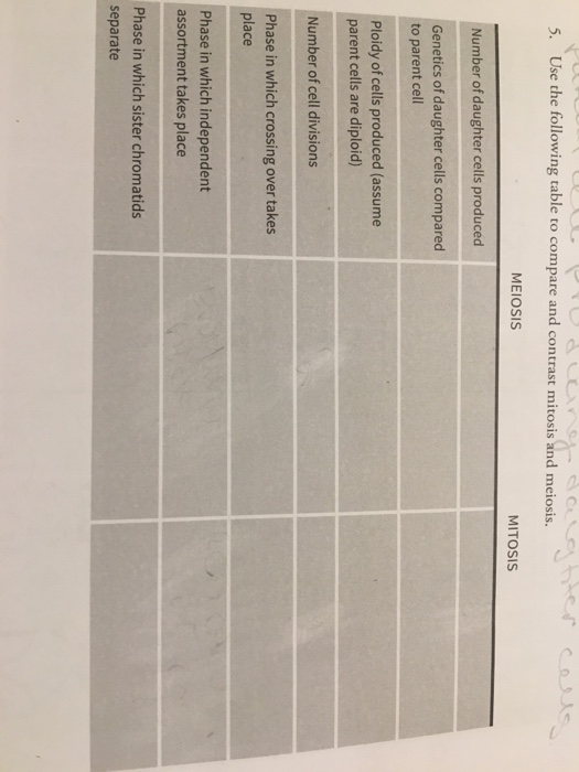 Solved Use the following table to compare and contrast | Chegg.com