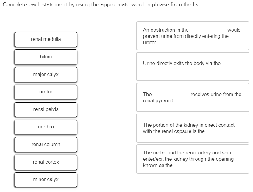 Solved Complete each statement by using the appropriate word | Chegg.com