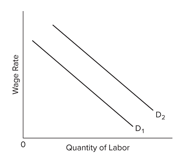 Solved Use the graph to answer the question about the labor | Chegg.com