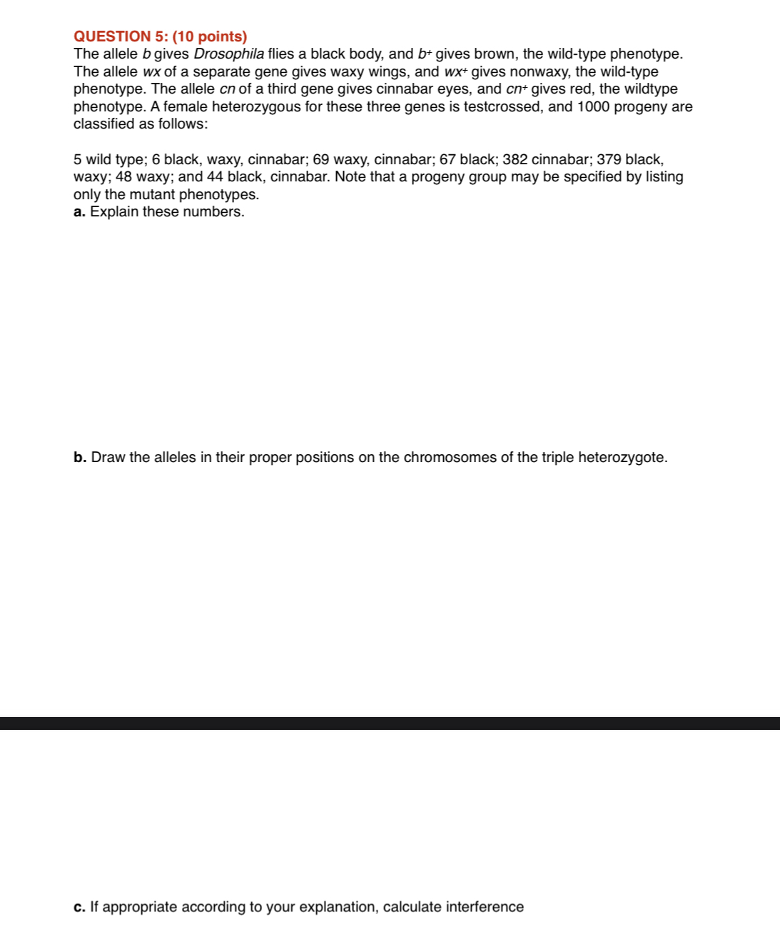 Solved QUESTION 5: (10 ﻿points) ﻿The allele \( ﻿b \) ﻿gives | Chegg.com
