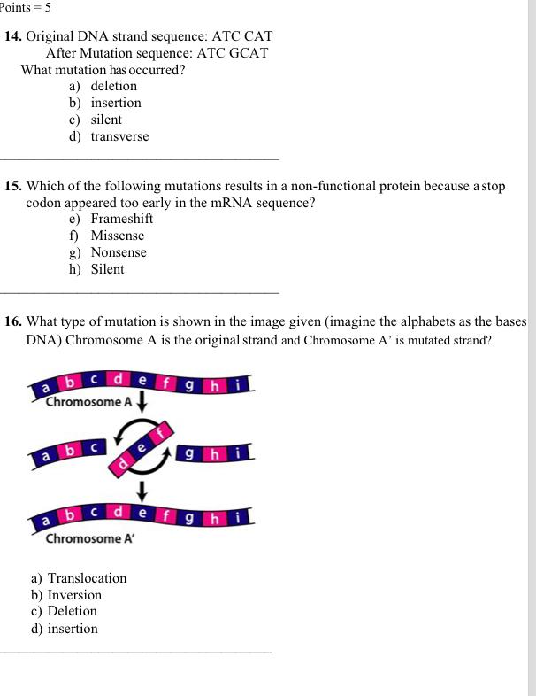 Solved Points = 5 14. Original DNA strand sequence: ATC CAT | Chegg.com