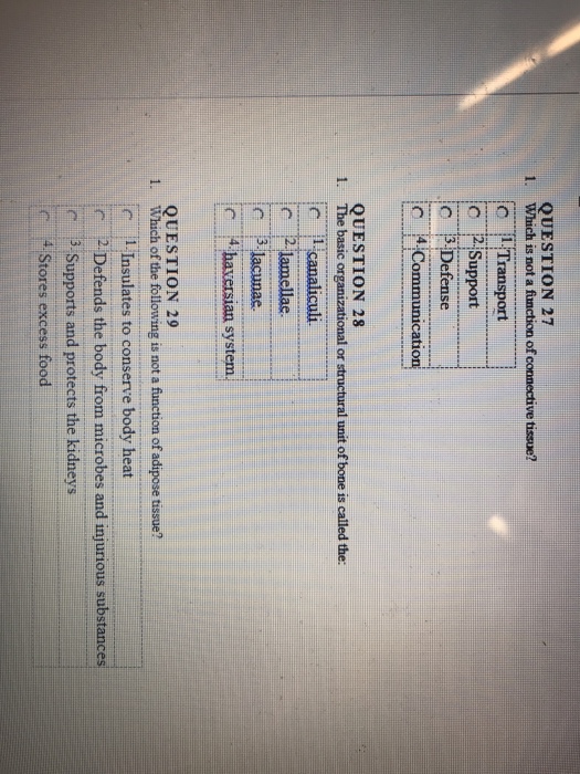 Solved Paragraph Font True and False questions: QUESTION 1 | Chegg.com