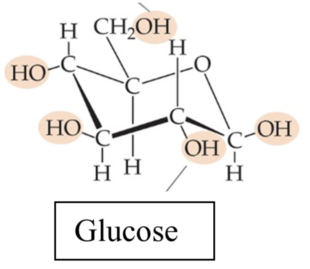 Solved In which of the following organic solvents do you | Chegg.com