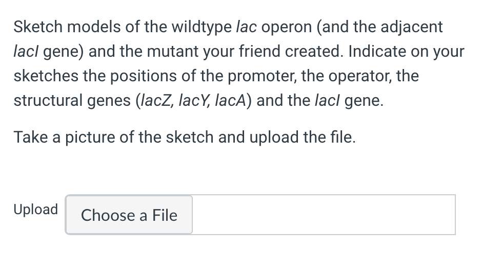Solved Sketch models of the wildtype lac operon (and the | Chegg.com