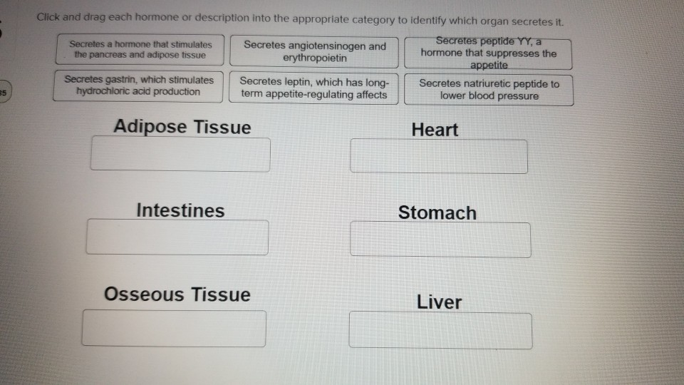 Solved Click and drag each hormone or description into the | Chegg.com