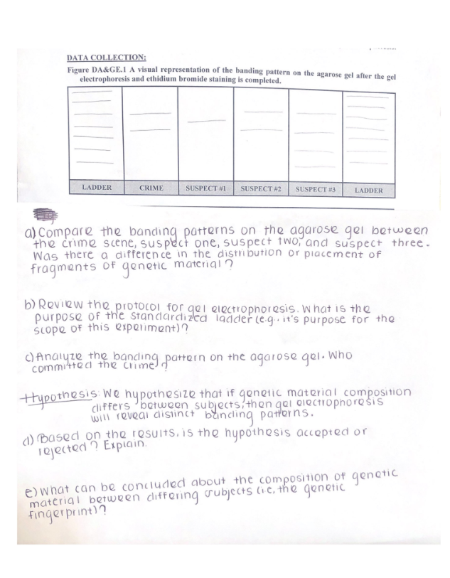 Solved DATA COLLECTION:Figure DA&GE.1 ﻿A visual | Chegg.com