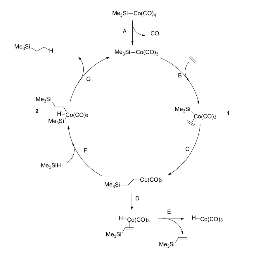 Solved What types of reactions are involved in steps A - D | Chegg.com