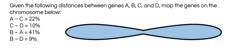 Solved Given the following distances between genes A, ﻿B, | Chegg.com