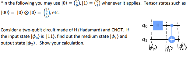 Solved *In the following you may use ∣0 =(10),∣1 =(01) | Chegg.com