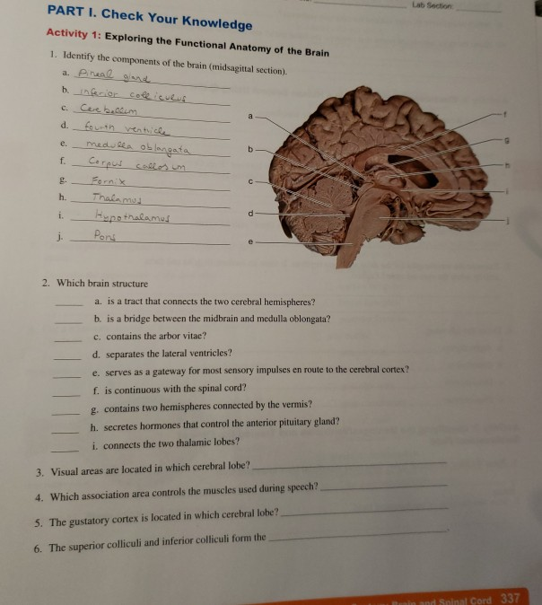 Solved PART I. Check Your Knowledge Activity 1: Exploring | Chegg.com