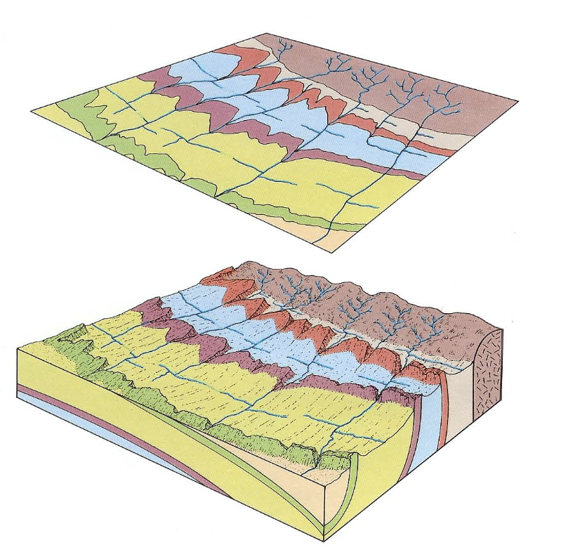 Solved ATTITUDE OF BEDS FAULTS FOLDS Plunging anticline | Chegg.com