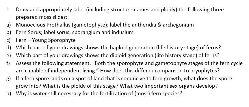 Solved 1. Draw and appropriately label (including structure | Chegg.com