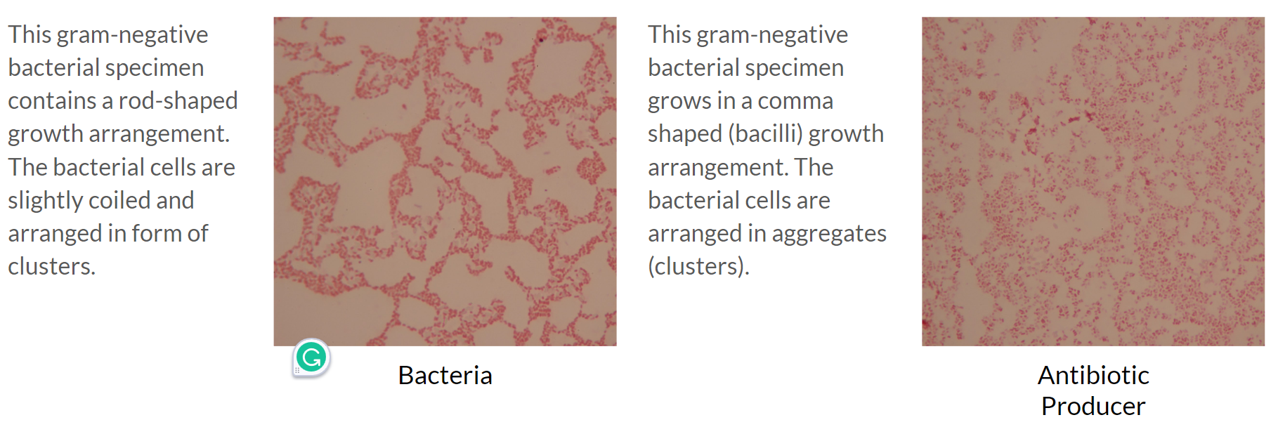 Solved For this question, I am asking for confirmation on | Chegg.com