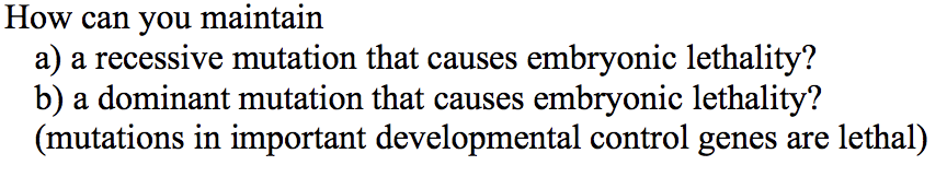 Solved How can you maintain a) a recessive mutation that | Chegg.com