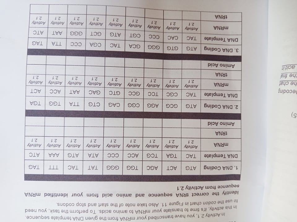 Solved in Activity 2.1, you have transcribed your mRNA from | Chegg.com