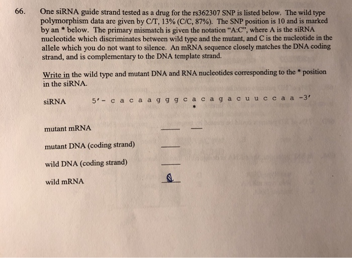 Solved 66. One siRNA guide strand tested as a drug for the | Chegg.com