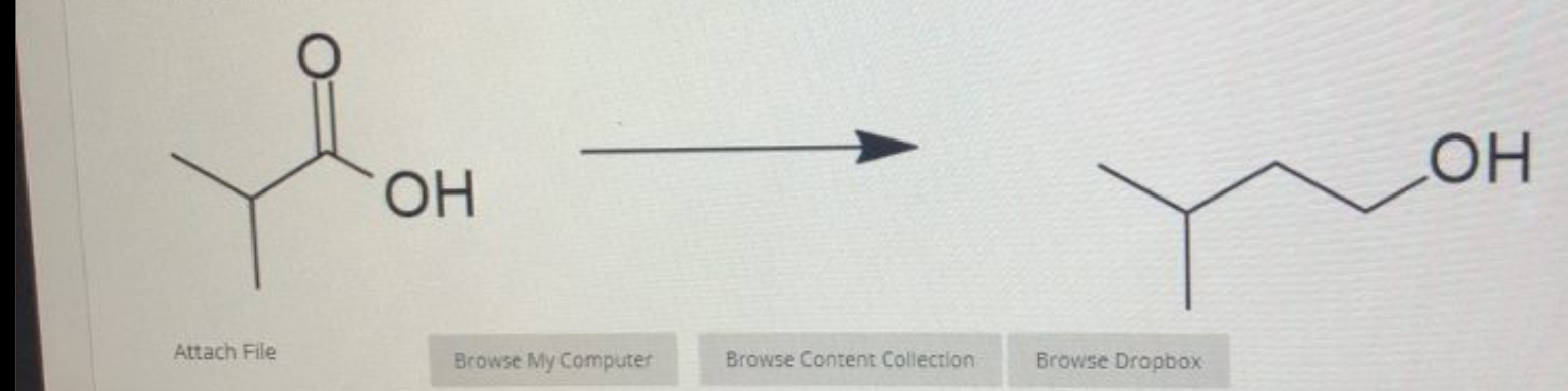Solved ОН ОН Attach File Browse My Computer Browse Content | Chegg.com