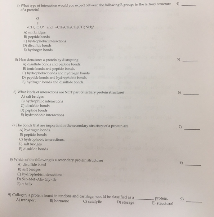Solved What type of interaction would you expect between the | Chegg.com