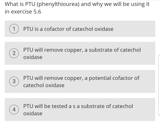 Solved What is PTU (phenylthiourea) and why we will be using | Chegg.com