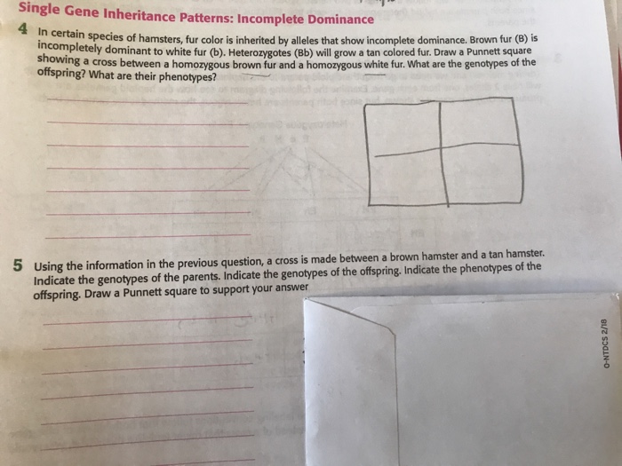 Solved Single Gene Inheritance Patterns: Incomplete | Chegg.com