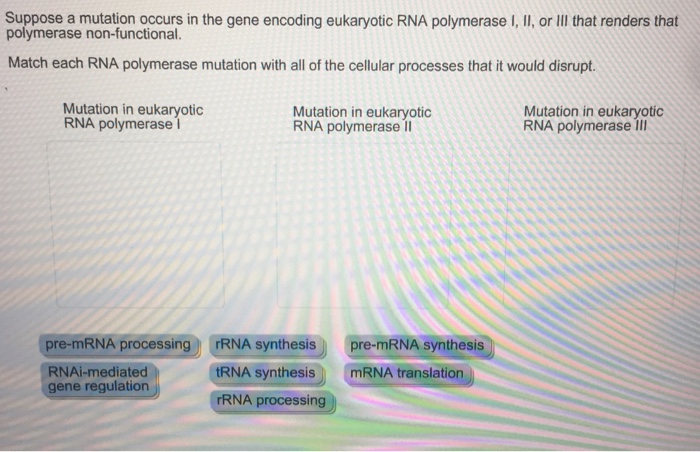 Solved Suppose a mutation occurs in the gene encoding | Chegg.com