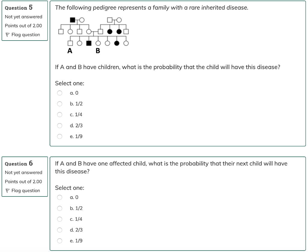 Solved Question 5 Not Yet Answered Points Out Of 200 P Flag 
