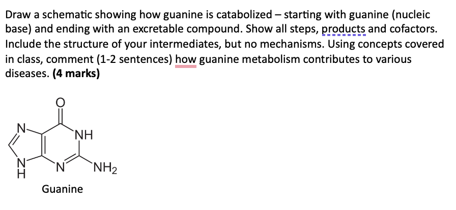 Solved Draw a schematic showing how guanine is catabolized - | Chegg.com