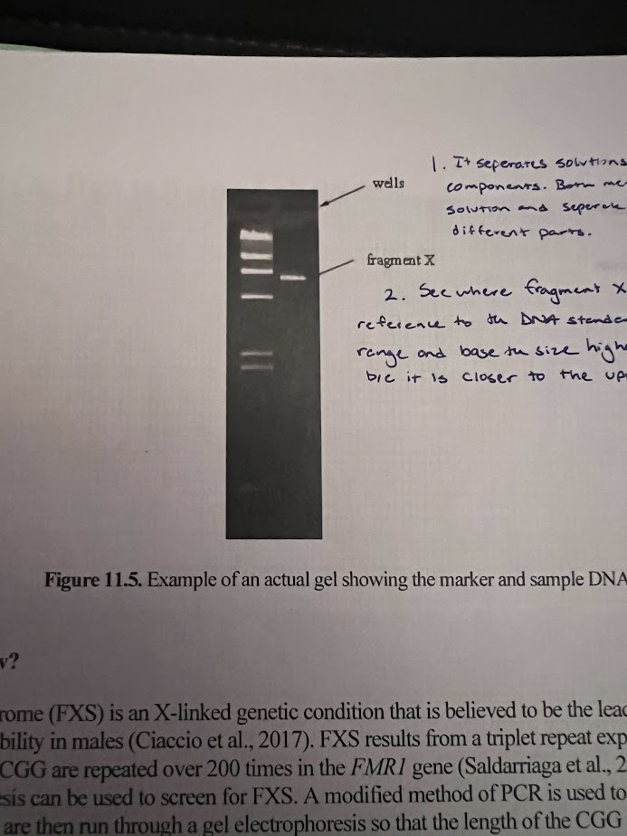 Solved PART V: ESTIMATING THE SIZE OF THE UNKNOWN DNA | Chegg.com