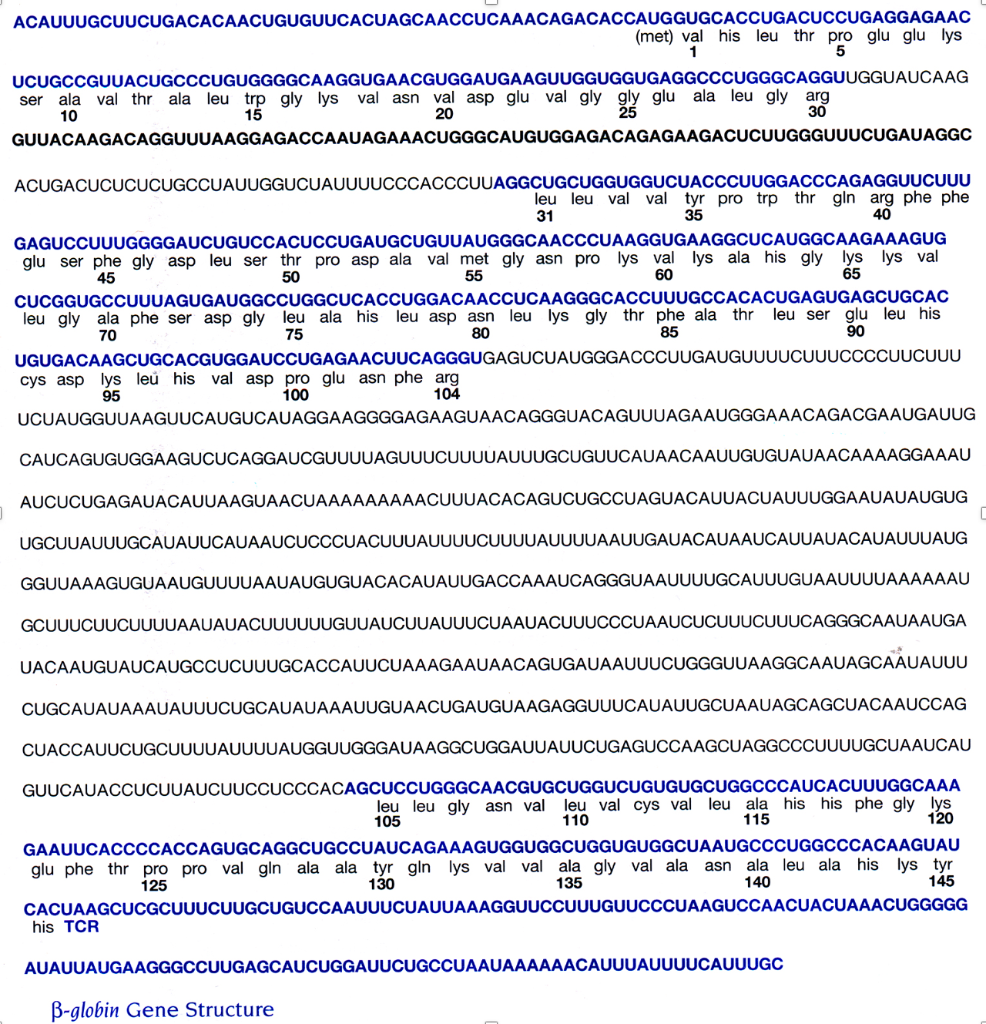 Solved Does this sequence show a primary transcript, or | Chegg.com