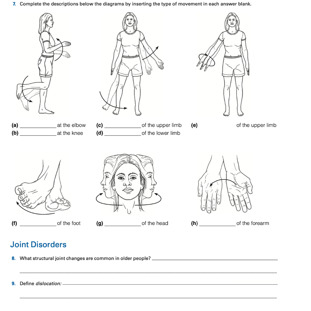 Solved 7. Complete the descriptions below the diagrams by | Chegg.com