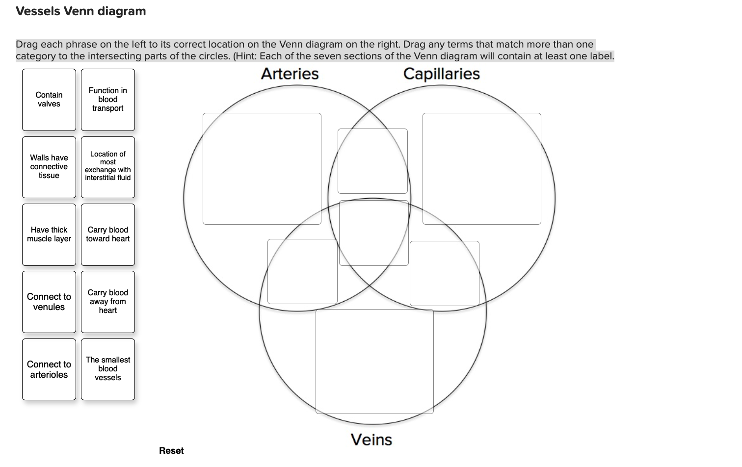 Solved Vessels Venn diagram Drag each phrase on the left to | Chegg.com