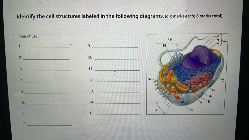 Solved Identify the cell structures labeled in the following | Chegg.com