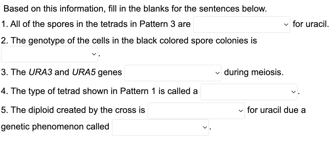 URA3 and URA5 are genes in yeast that encode enzymes | Chegg.com