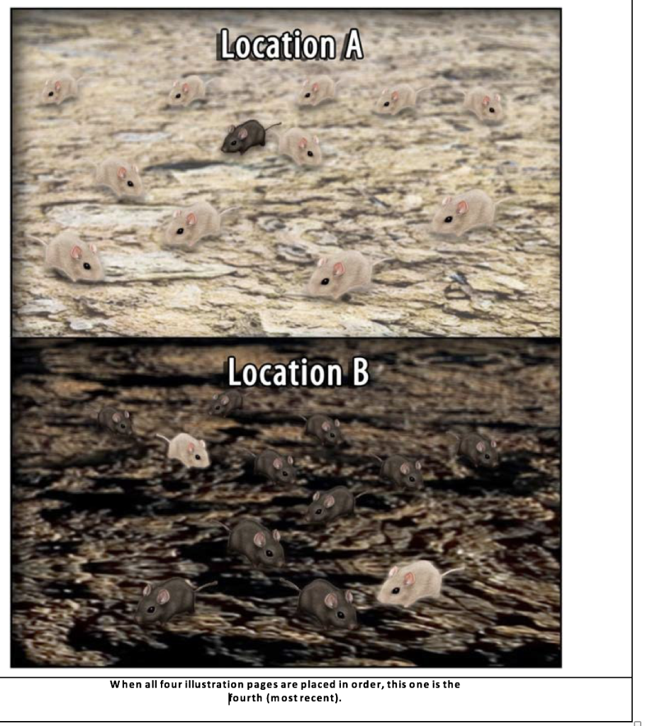 Solved Location A Location B When all four illustration | Chegg.com