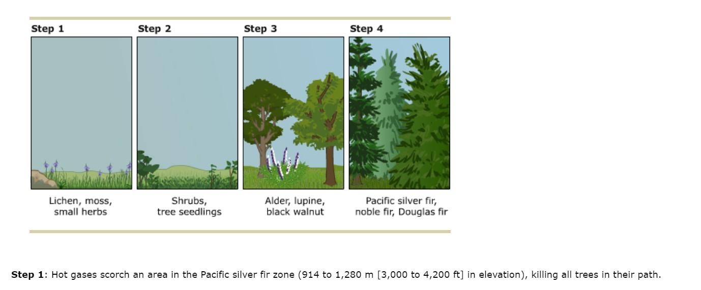 Solved 1. Ecological succession on Mount St. Helens In 1980, | Chegg.com